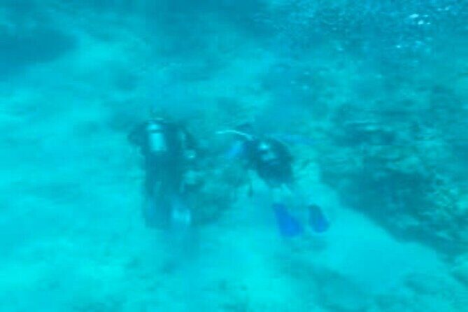 Private Customizable Charter in Marathon Florida - A Closer Look at the Experience