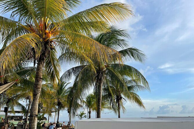 Private Customizable Tour: Amazing Beaches And Great Scenery - Who Will Enjoy This Tour?