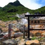 Private Customizable Tour in Hakone - The Practical Side: Cost, Comfort, and Considerations