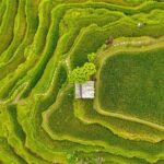 Private Customize Ubud Day Tour With Experienced Driver - The Authentic Experience: What Travelers Say