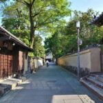 Private Custumized Walking Tour with a Local Guide - The Experience Breakdown