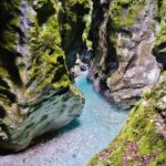 Private: Damajagua Waterfalls Adventure with Jungle Trek - The Waterfall and Canyon Exploration