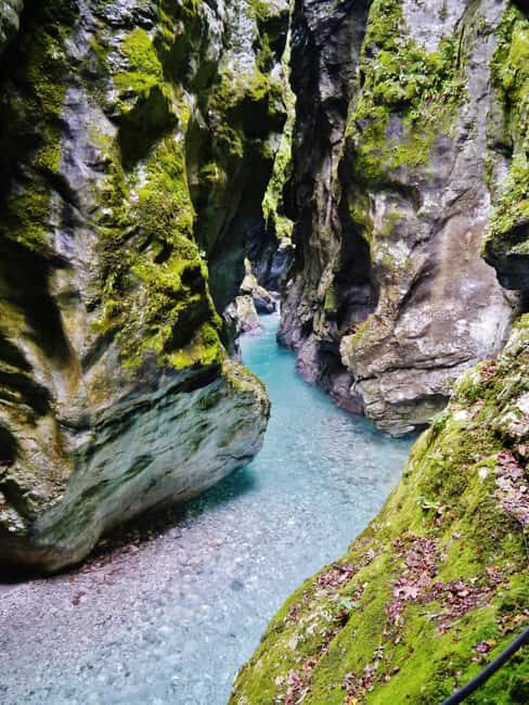 Private: Damajagua Waterfalls Adventure with Jungle Trek - The Waterfall and Canyon Exploration