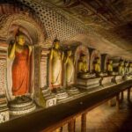 Private Dambulla & Kaudulla National Park Day Tour From Colombo - What You’ll Love About This Tour