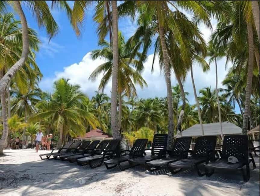 Private Day Excursion to Saona Island from Juan Dolio - The Itinerary: What to Expect from Start to Finish