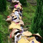 Private Day Tour: Anxi Tea Garden And Hongen Rock From Xiamen - Lunch at a Local Farm: A Flavorful Break