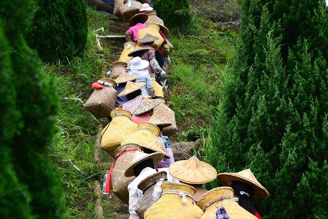 Private Day Tour: Anxi Tea Garden And Hongen Rock From Xiamen - Lunch at a Local Farm: A Flavorful Break