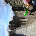 Private Day Tour: Mutianyu Great Wall and Ming Tombs - Exploring the Mutianyu Great Wall
