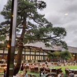 Private Day Tour of Tokyo Shrine for Oharai Yakubarai - How We View the Value