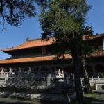 Private Day Tour to Confucius Home Town Qufu By Bullet Train from Beijing - Who Should Consider This Tour?