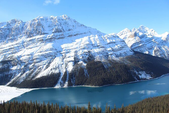 Private Day Tour to Icefield Parkway and Abraham Lake - What Travelers Can Expect
