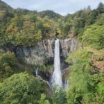 Private Day tour to Nikko City with English speaking driver - Who Should Consider This Tour?