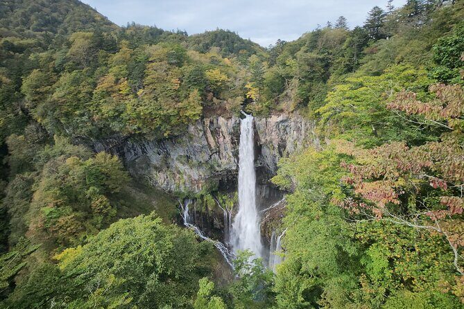 Private Day tour to Nikko City with English speaking driver - Who Should Consider This Tour?