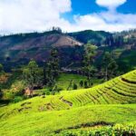 Private Day Tour to Nuwara Eliya Pickup from Kandy - The Itinerary in Detail