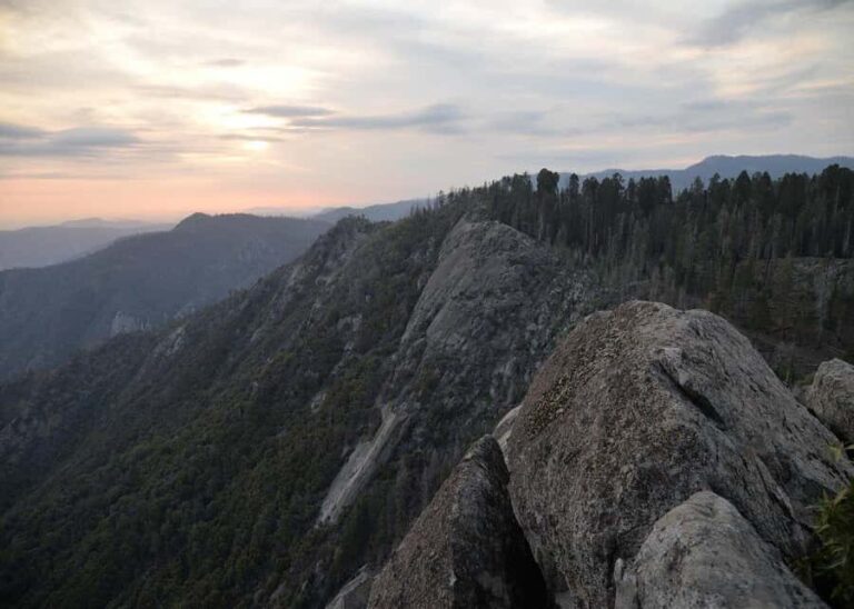 Private Day Tour to Sequoia and Kings Canyon Parks From LA - Authentic Experiences That Stand Out