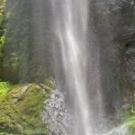 Private Day Tour to Wulong Karst from Chongqing Downtown - What Travelers Say