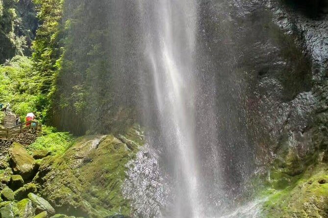 Private Day Tour to Wulong Karst from Chongqing Downtown - What Travelers Say