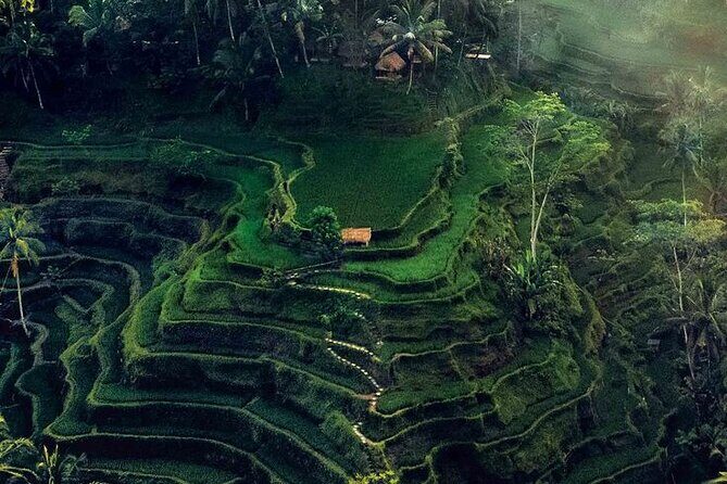 Private Day Trip Bali Rafting, Monkey Forest and Waterfall - The Itinerary Breakdown: What to Expect