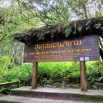 Private Day Trip Doi Inthanon, Trekking, Elephant Sanctuary - The Journey Begins: Pickup and Travel to Doi Inthanon