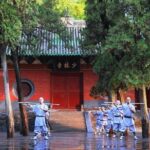 Private Day Trip to Shaolin Temple and Longmen Grottoes - Practical Details and What to Expect