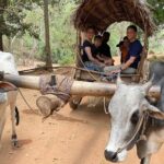 Private Day Trip to Sigiriya from Kaluthara/Wadduwa/Bentota - Why This Tour Is a Good Choice