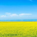 Private Day Trip to Taer Monastery and Lake Kokonor - The Practical Details—What You Need to Know