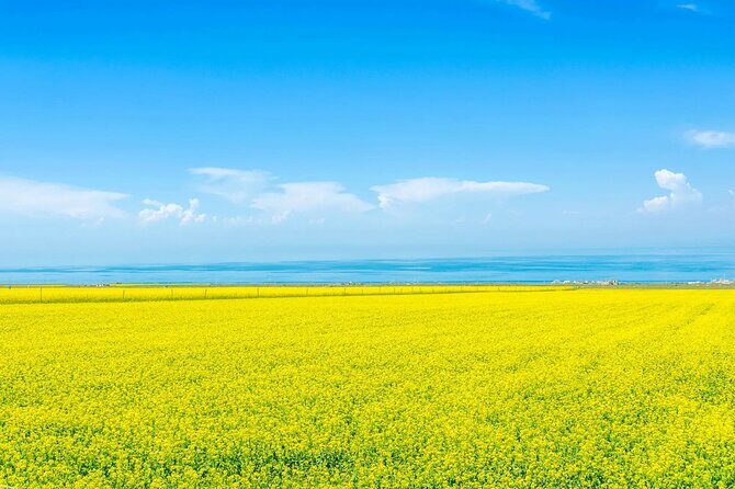 Private Day Trip to Taer Monastery and Lake Kokonor - The Practical Details—What You Need to Know