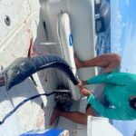 Private Deep Sea Fishing Experience in Grand Cayman - The Itinerary: What to Expect on Your Day Out