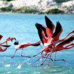 Private Diving & Southside tour - FAQs