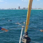 Private Dolphin Sightseeing Sail on the Lazy Daze Catamaran - The Sum Up