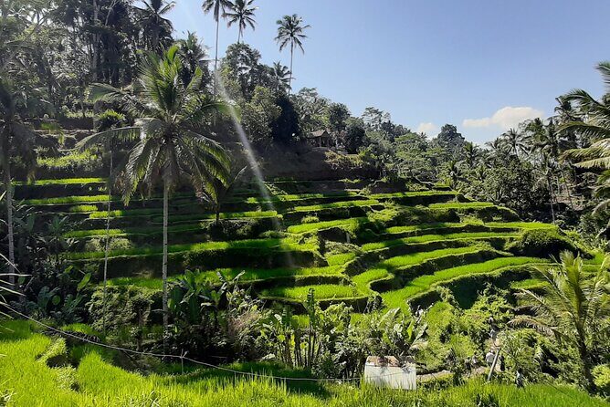 Private Driver in Bali with English Speaking - Who Should Consider This Tour?