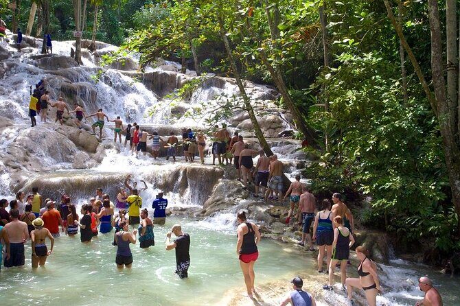 Private Dunn River Falls Tour From Negril - Why Choose This Tour?