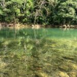 Private Dunns River Fall, Blue hole in Ocho Rios from Montego Bay - What Makes This Tour Stand Out?