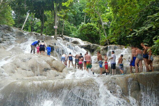 Private Dunn's River Falls Adventure from Montego Bay - Dunn’s River Falls: The Main Attraction