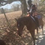 Private Dunns River Falls and Horse Back Riding - Included and Not Included: What Really Matters