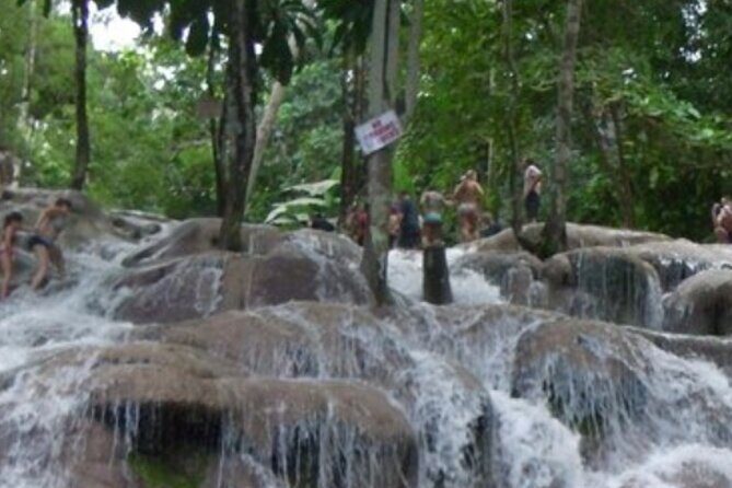 Private Dunn's River Falls and Tubing Tour From Ocho Rios - An In-Depth Look at the Itinerary