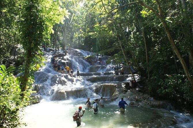 Private Dunn's River Falls Tour from Falmouth - Who Is This Tour Best For?
