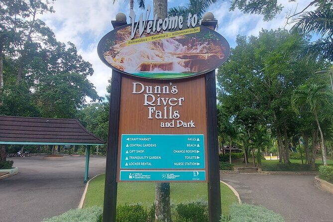 Private Dunn's River Falls Tour from Montego Bay - In-Depth Breakdown of the Experience