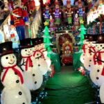 Private Dyker Heights Christmas Lights Tour - The Itinerary: What You Can Expect