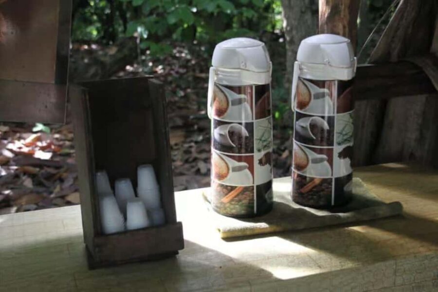 Private E-Bike Adventure Macao, El Salado, Ceiba & El Caño - Who Should Consider This Tour?