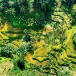 Private East Bali Highlights Tour with Customizable Itinerary - Detailed Breakdown of the Itinerary