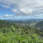 Private El Yunque Adventure  Hidden Waterfalls & El Toro Trail! - Who Will Love This Tour?