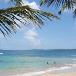 Private El Yunque Waterslides and Luquillo Beach Tour - What Travelers Love About This Tour