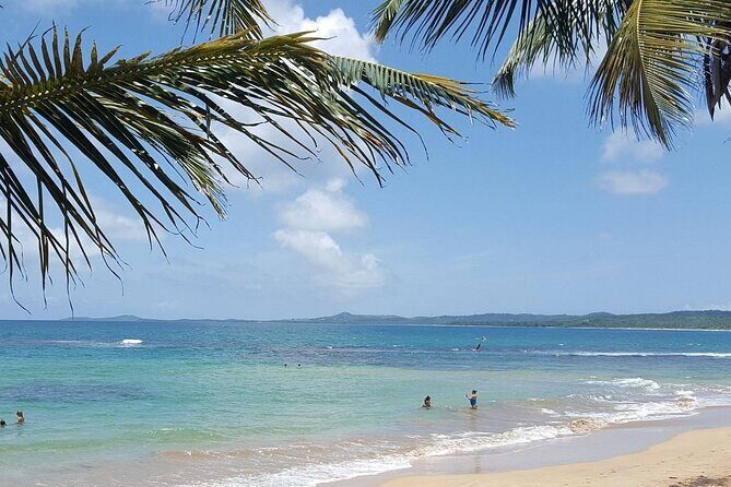 Private El Yunque Waterslides and Luquillo Beach Tour - What Travelers Love About This Tour