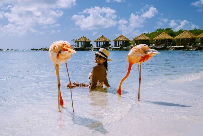 Private Essential Tour of Aruba - Practical Details and What They Mean for You