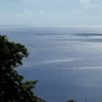 Private excursions à la carte in Martinique - Potential Drawbacks