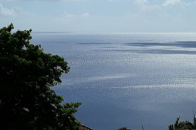 Private excursions à la carte in Martinique - Potential Drawbacks