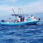 Private Family Dolphin and Whale Tour in Puerto Escondido - Why Choose This Tour?