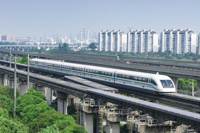 Private Family Friendly Shanghai City Tour - Who Will Love This Tour?
