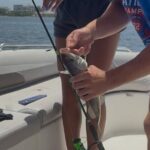 Private Fishing Experience with Monster Mike from Miami - The Experience in Detail
